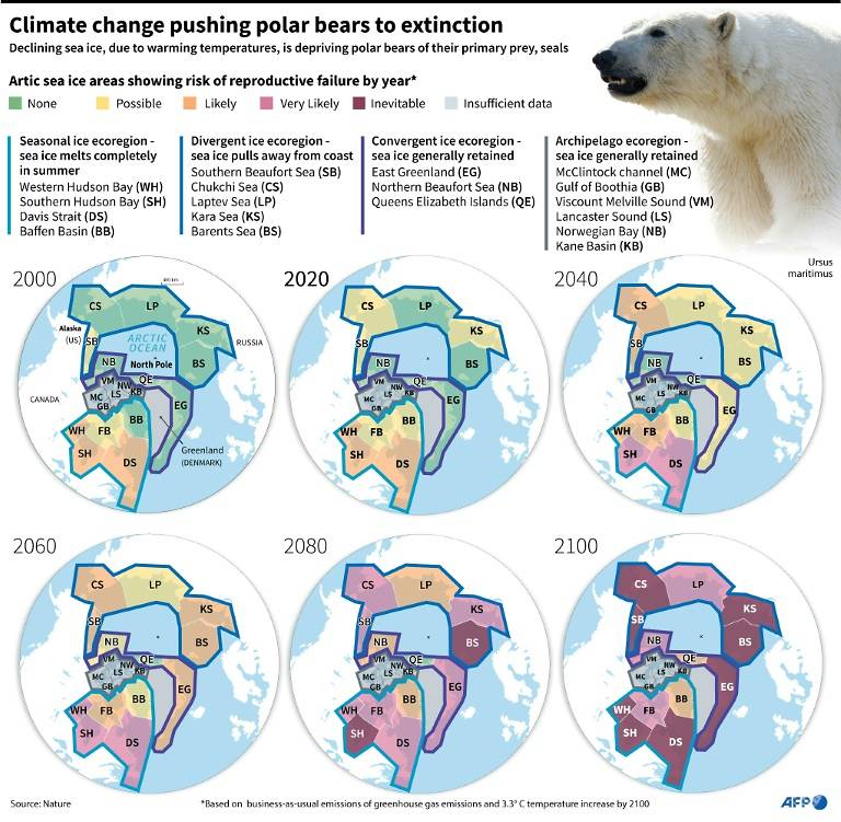 Climate change on track to wipe out polar bears by 2100 – Chronicles Time